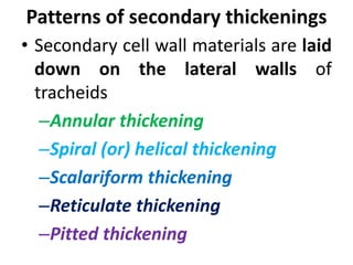 Complex permanent tissue | PPTX