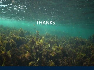 Systems dynamic modeling: examples in ecology | PPTX