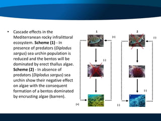Systems dynamic modeling: examples in ecology | PPTX