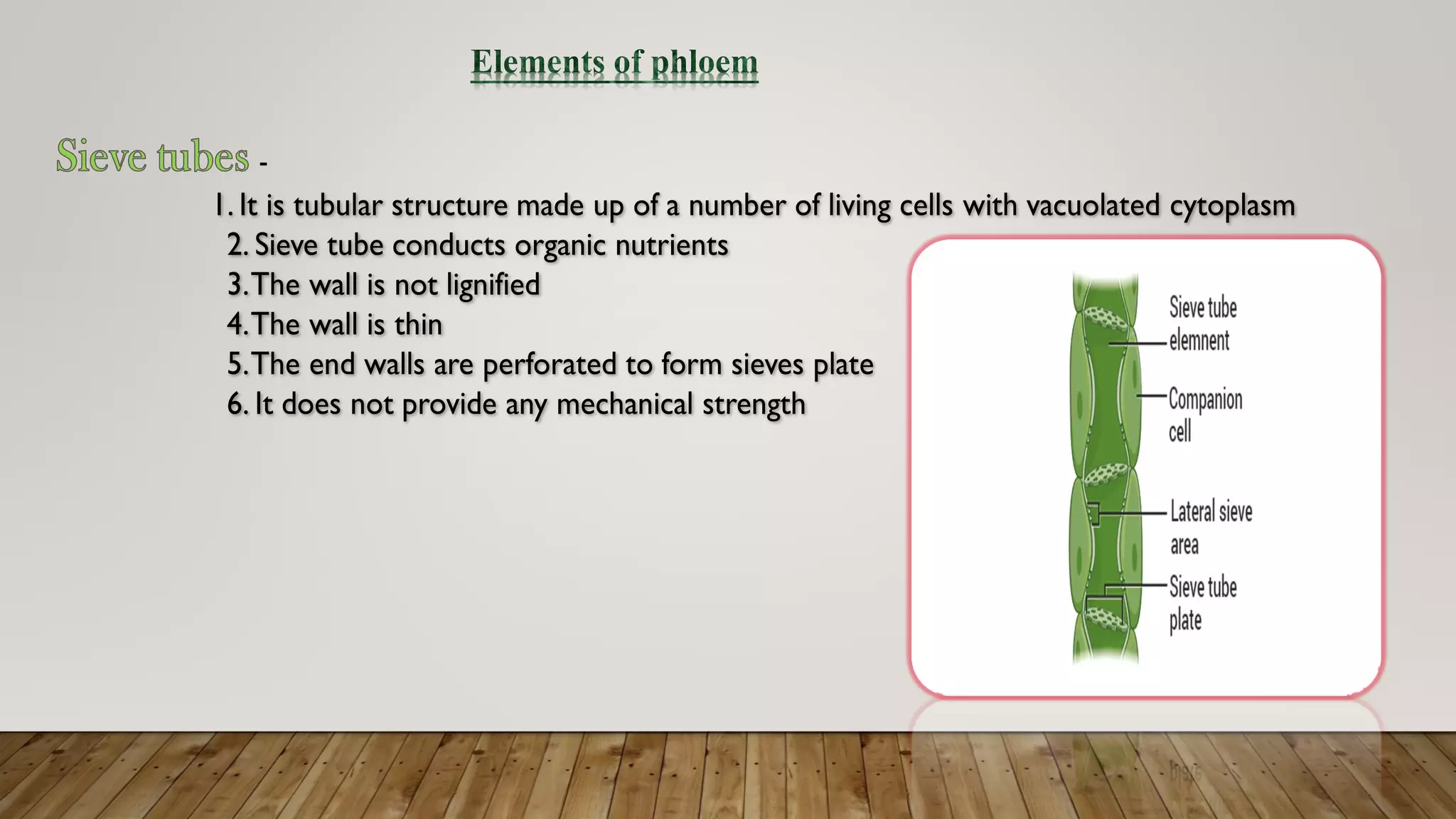 Complex tissue 1 | PDF