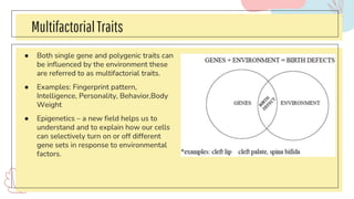 Genetics: Complex traits (Quantitative traits) | PPTX