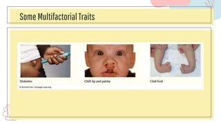 Genetics: Complex traits (Quantitative traits) | PPTX