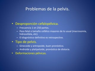 Complicaciones del parto 1 | PPTX