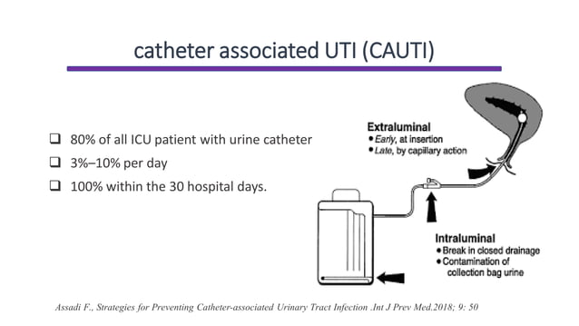 Complicated uti | PDF