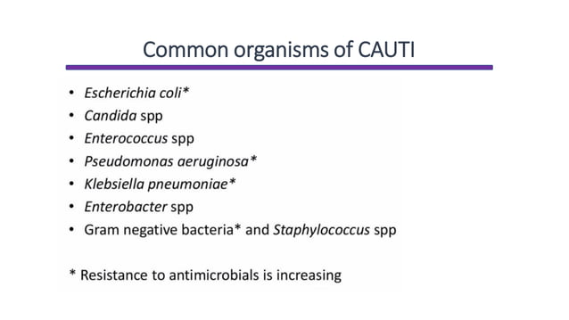 Complicated uti | PDF