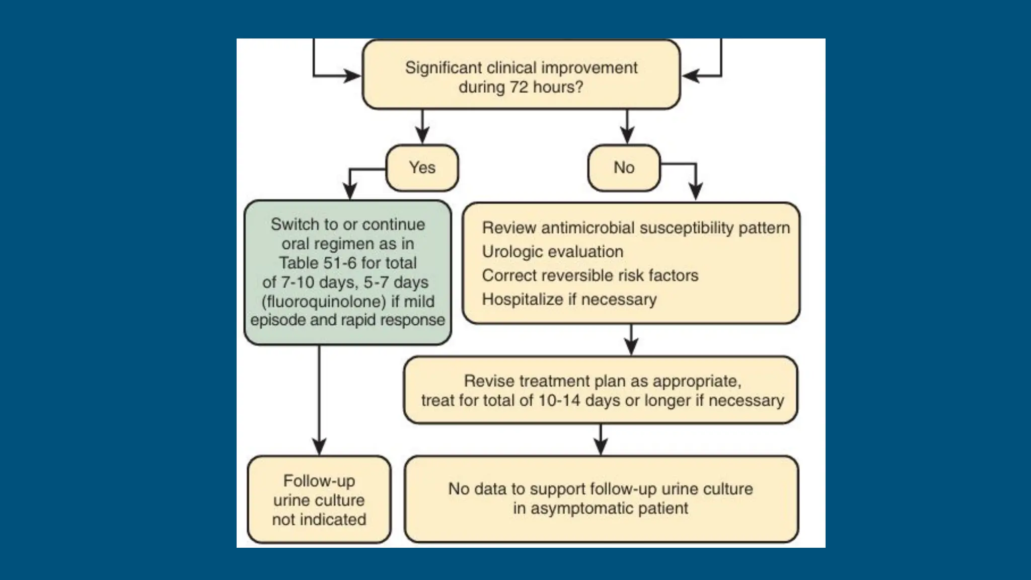 Complicated Urinary Tract Infection .pdf