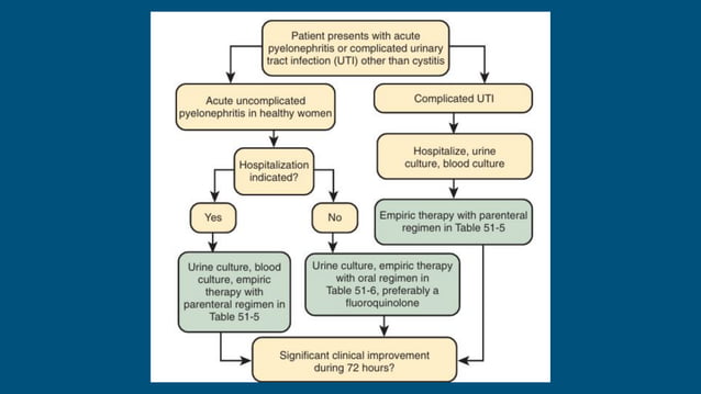 Complicated Urinary Tract Infection .pdf | Infectious Diseases ...