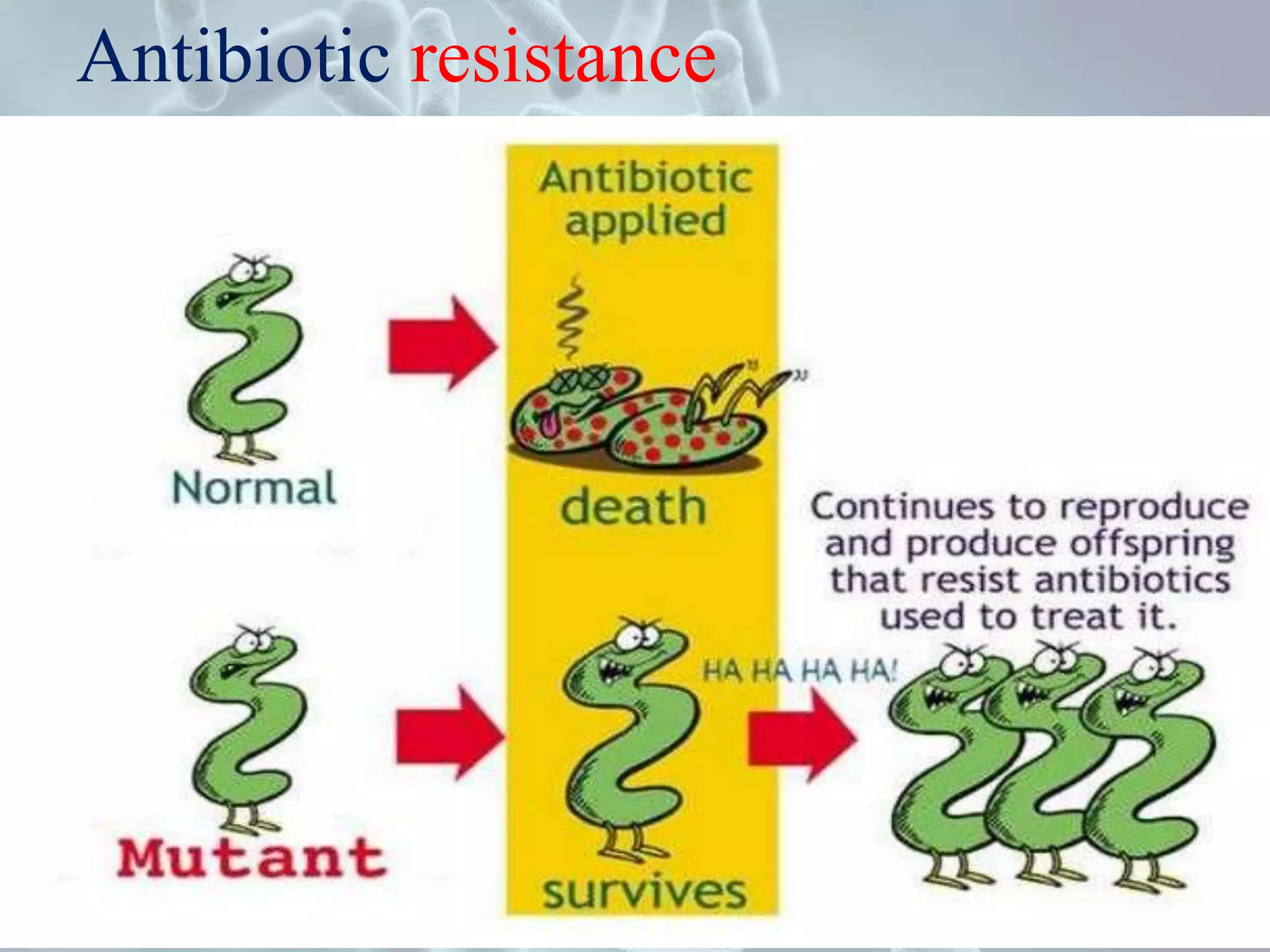 Complications and future challenges of bacterial antibiotic resistance ...