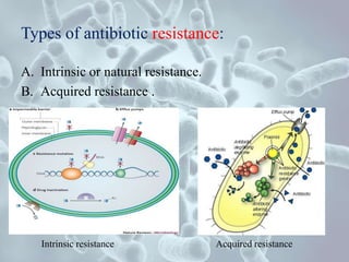 Complications and future challenges of bacterial antibiotic resistance ...