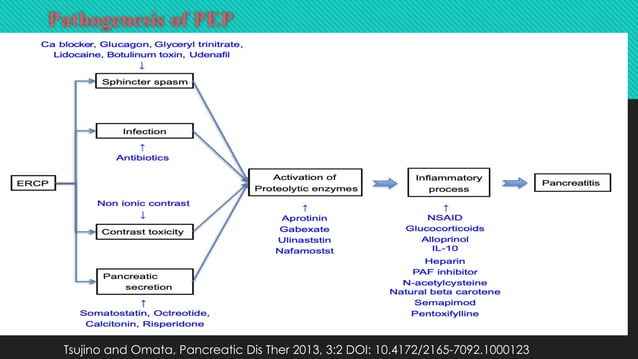 post ERCP pancreatitis.indications, cotraindications,types of ...