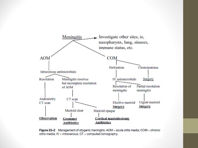 Complications of chronic otitis media | PPT