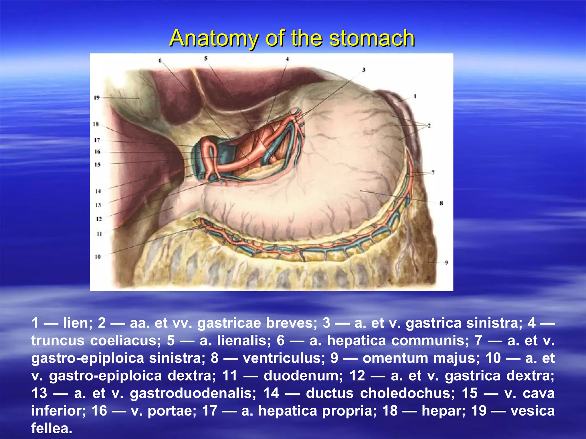 Complications of ulcer disease | PPT