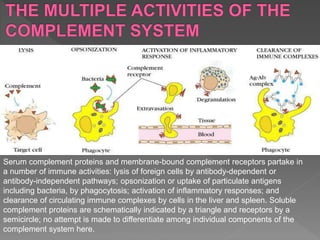 Compliment system | PPTX