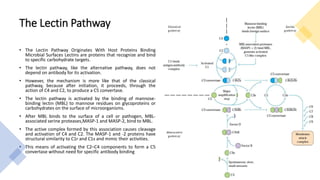 Complement system | PPTX