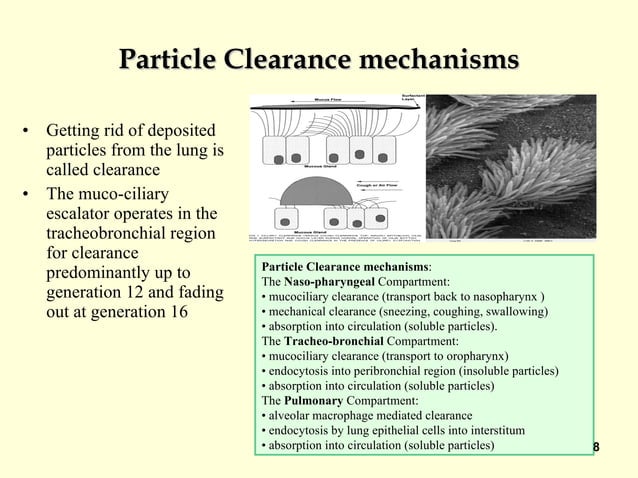 Computational Model For Deposition Clearance And Dosimetry Of Inhaled
