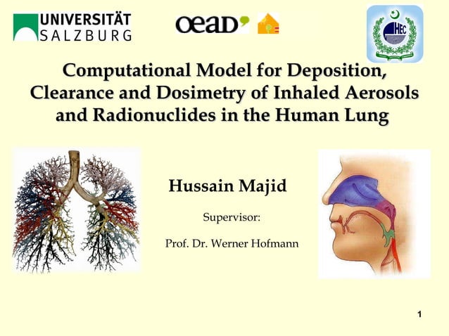 Computational Model For Deposition Clearance And Dosimetry Of Inhaled