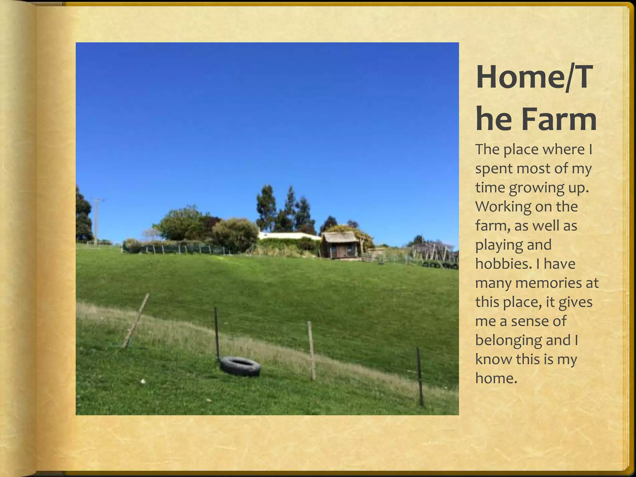 Occupational Identity | PPT