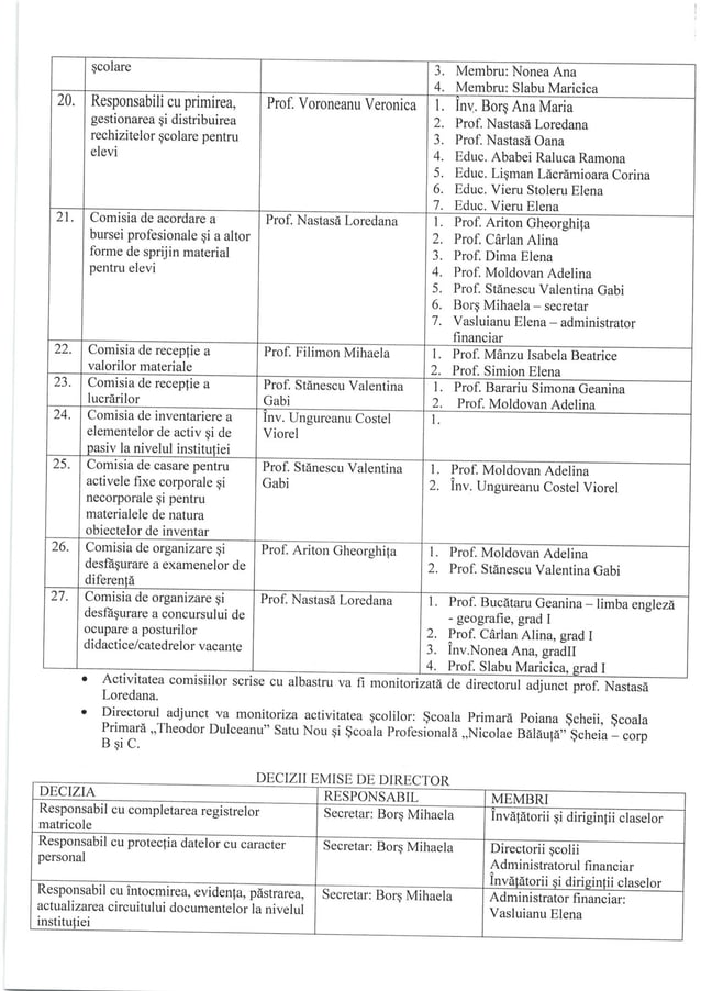 Componenta comisiilor de lucru | PDF