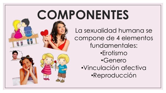 Componentes
