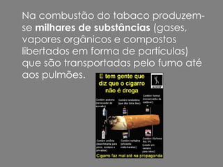 Componentes do cigarro | PPT