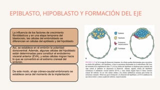 Componentes celulares y moleculares involucrados en etapas tempranas.pptx