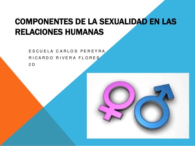 Componentes De La Sexualidad En Las Relaciones Humanas