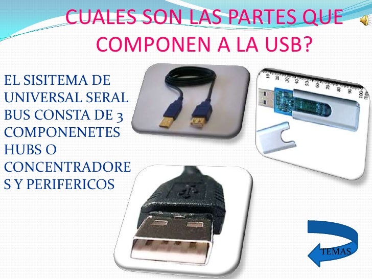 Componentes De La Usb
