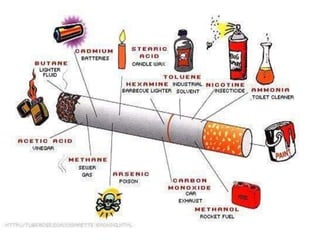 Componentes del cigarro | PPTX
