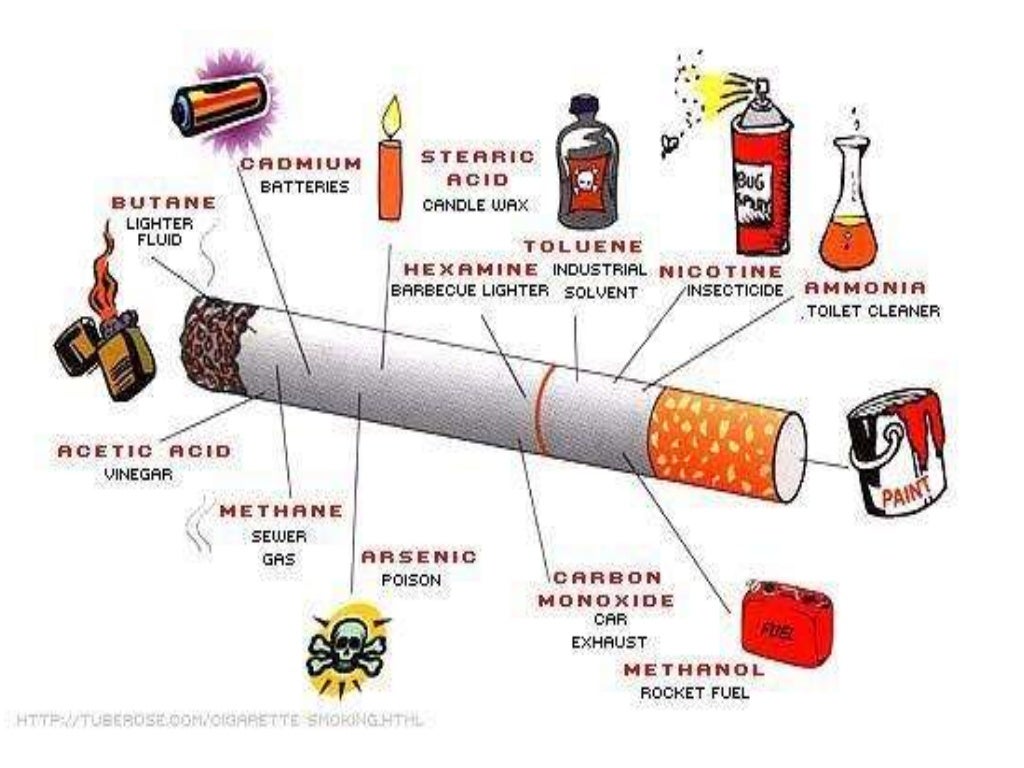 Componentes del cigarro