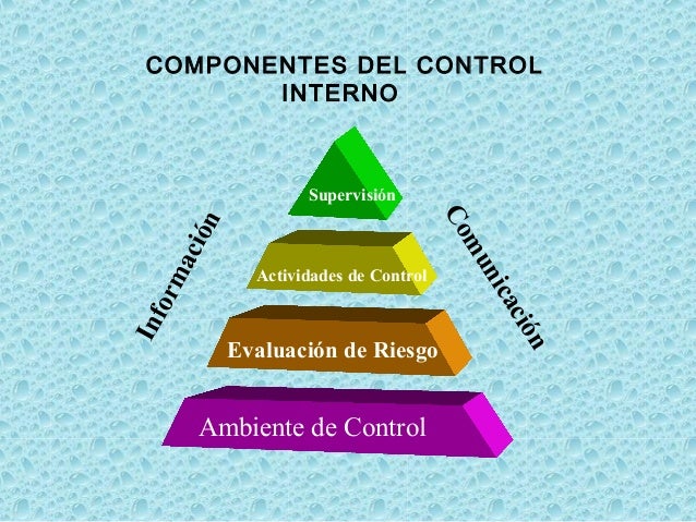 COMPONENTES DEL CONTROL INTERNO