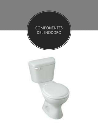 Componentes del inodoro | PPTX
