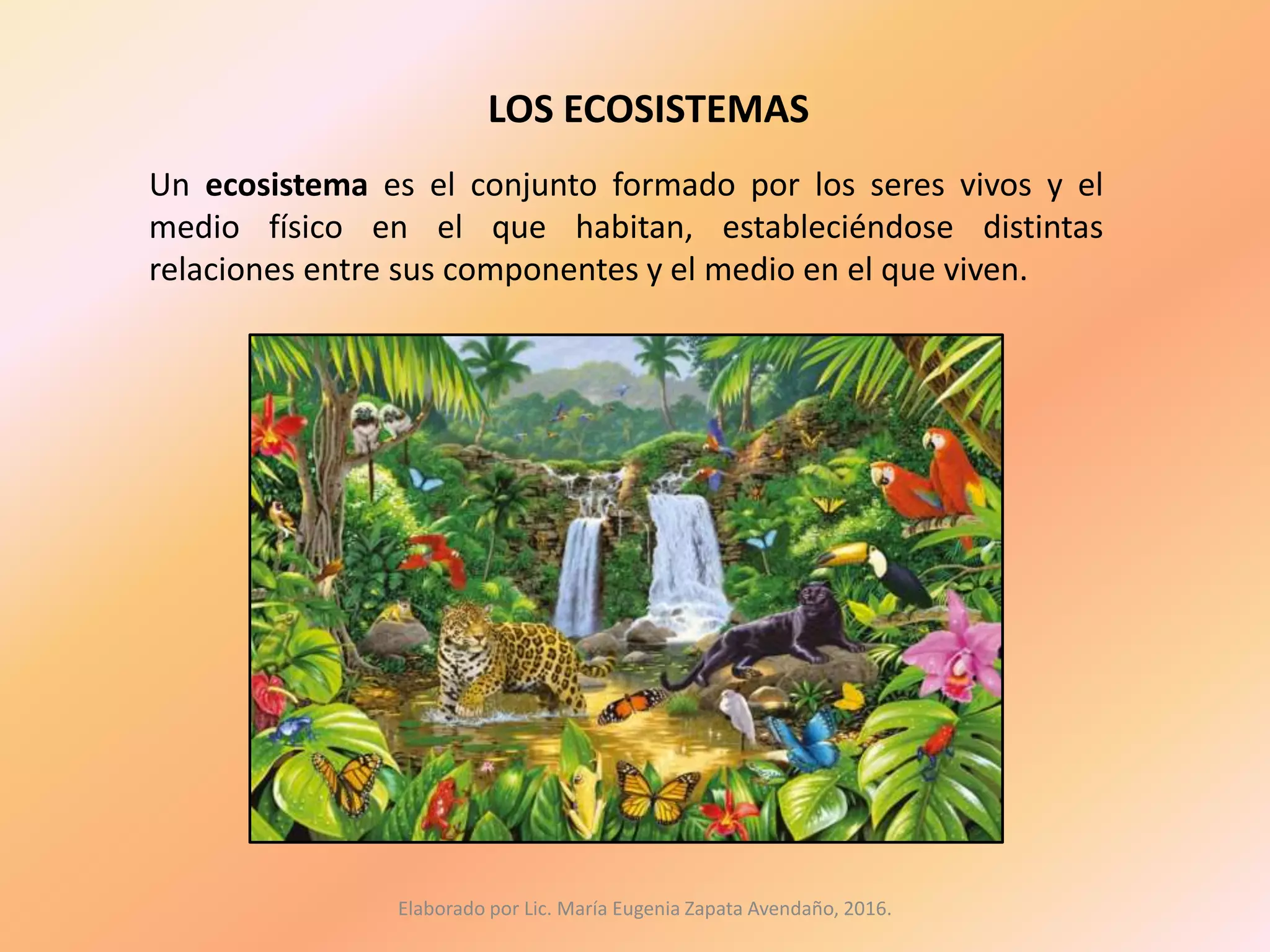 Componentes de los ecosistemas | PPTX
