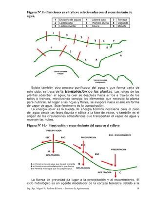 Componentes del suelo | PDF