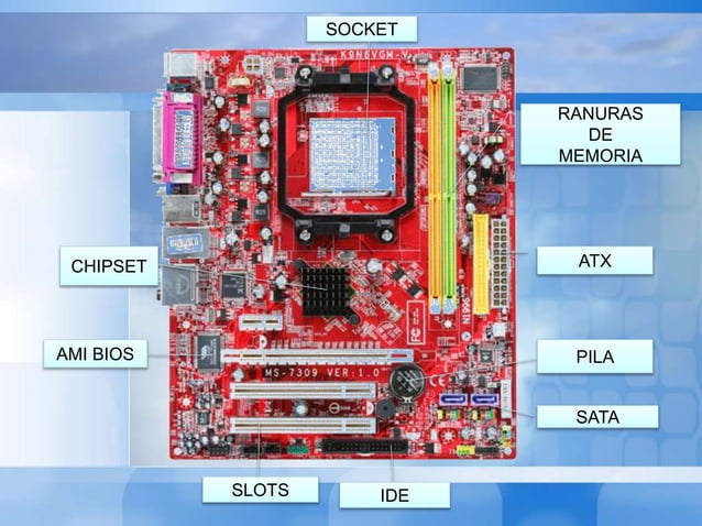 Componentes tareta principal sara giraldo grcia (4) | PPTX