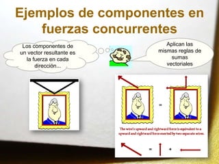 Componentes vectoriales | PPTX