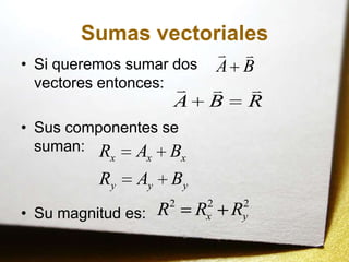 Componentes vectoriales | PPT