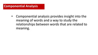 Componential-Analysis.pptx