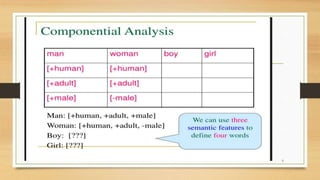 Componential Analysis of Meaning.pptx