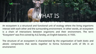 component of ecosystem .pptx
