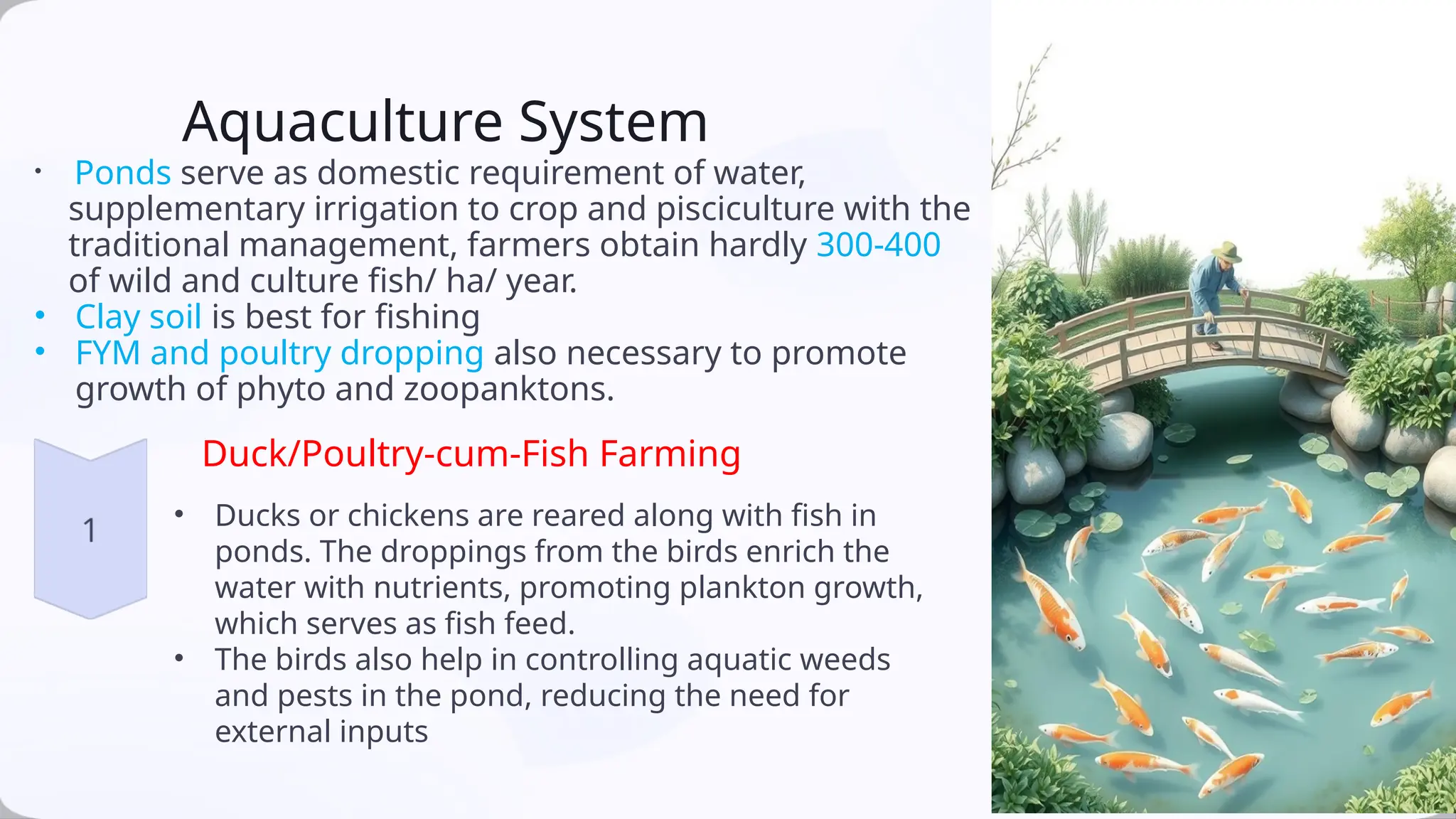 Component of farming system in agriculture.pptx