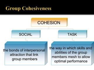component of group dynaminn55555n11c.pptx | Science