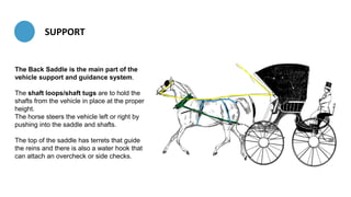 Components Of The Harness | PPT