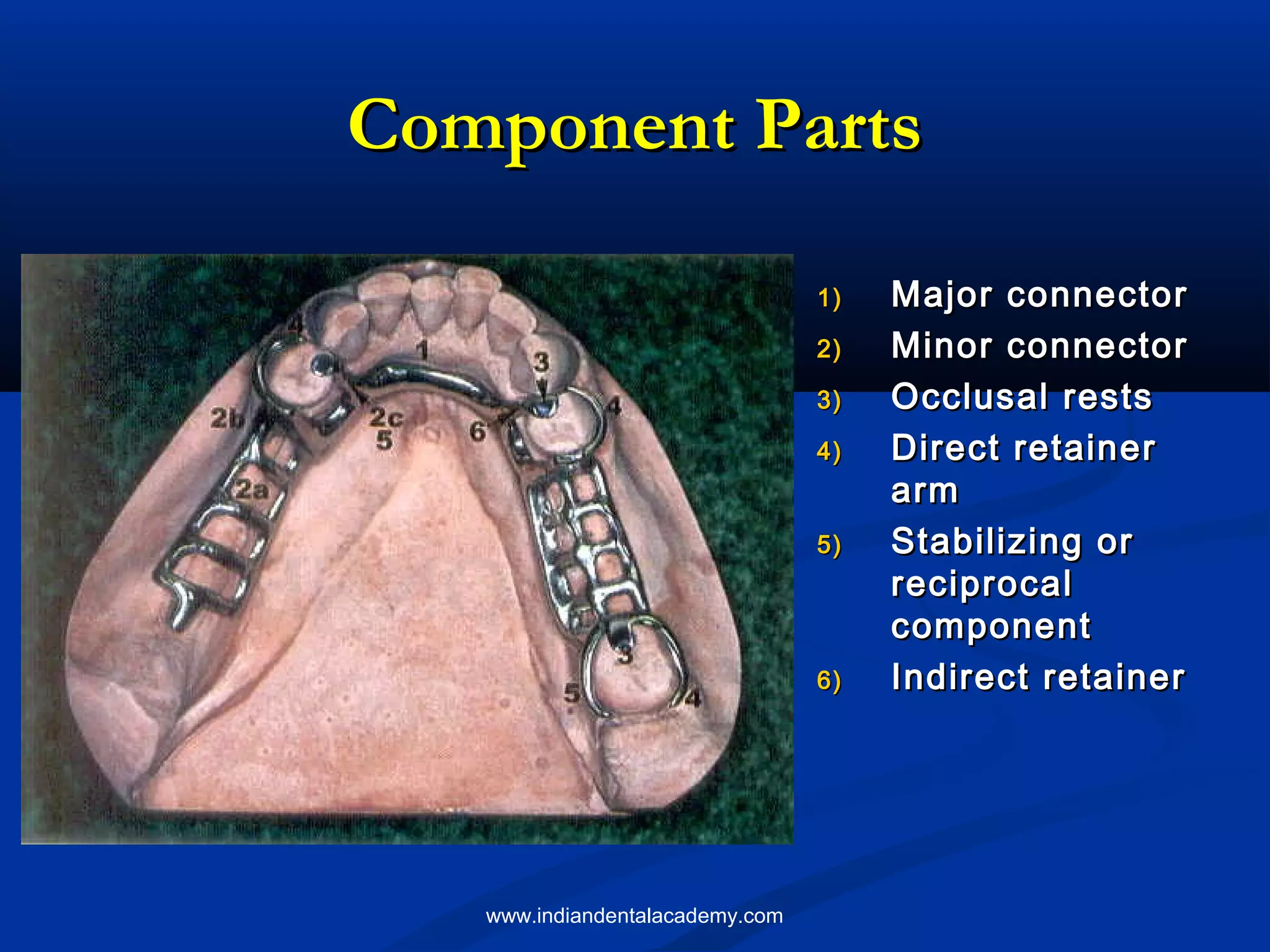 Role of component parts of cast partial dentures /dental courses | PPT