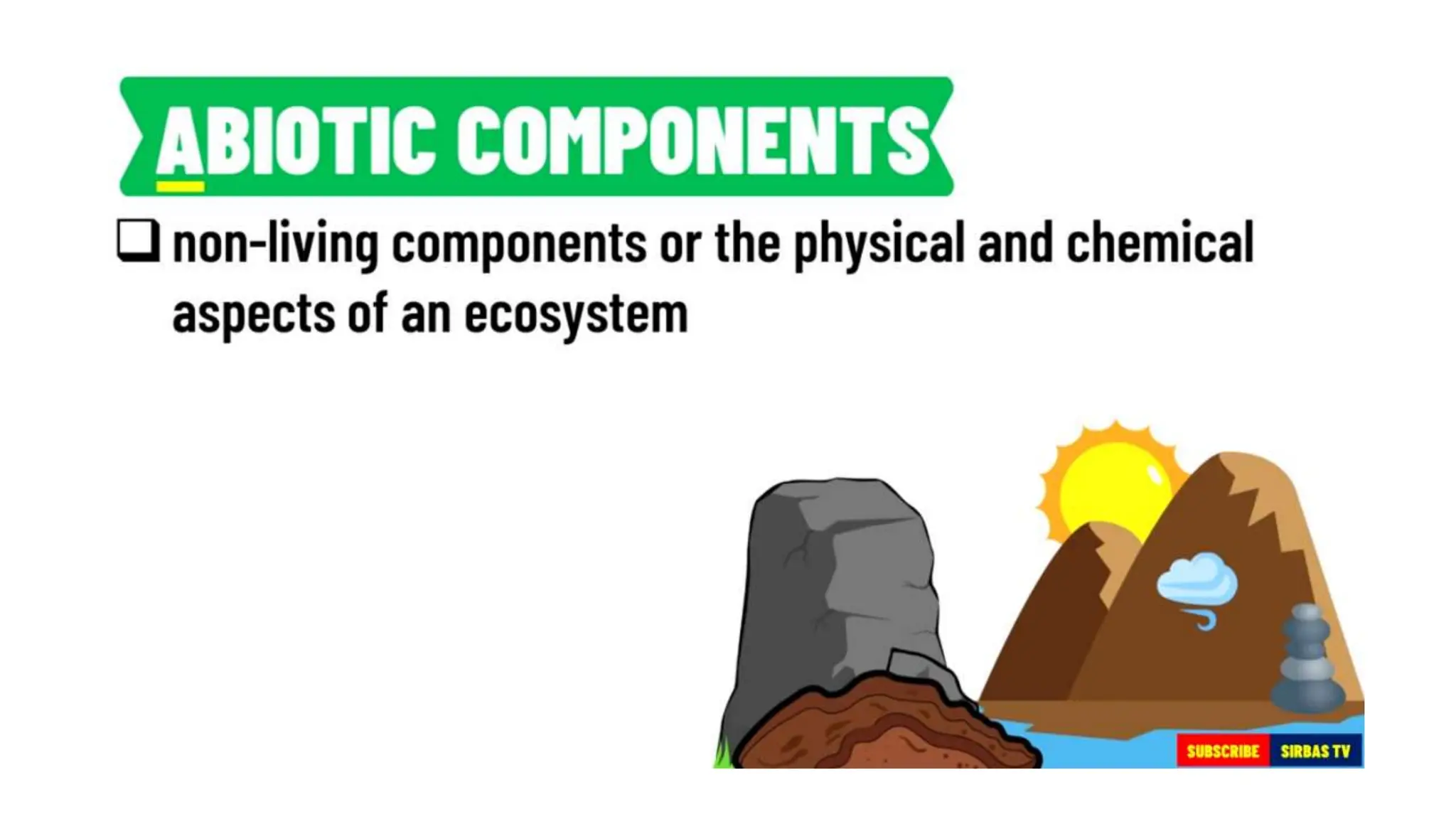 Components of an Ecosystems Grade 7 Learners.pptx