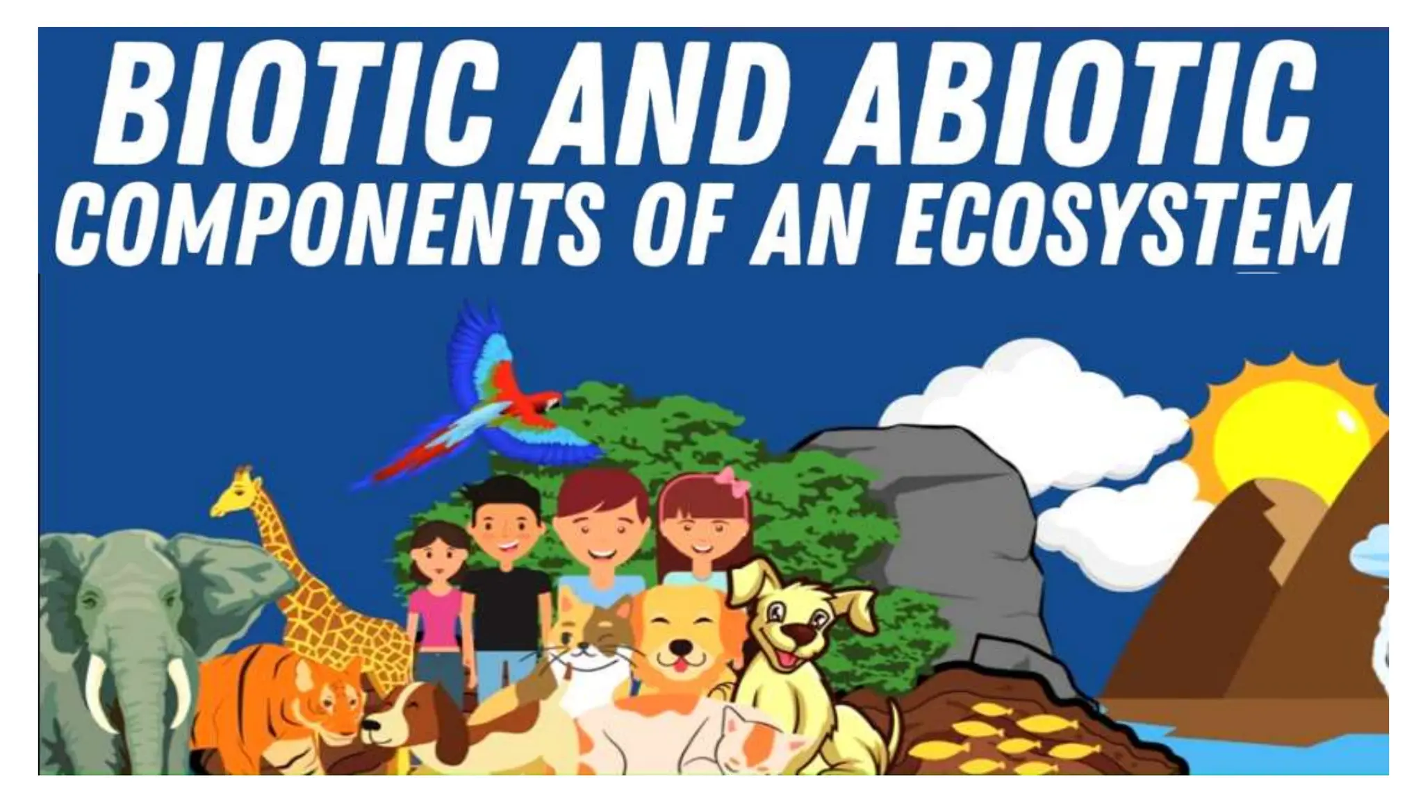 Components of an Ecosystems Grade 7 Learners.pptx