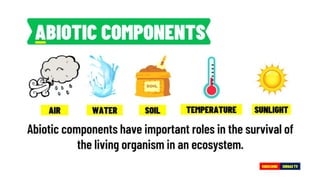 Components of an Ecosystems Grade 7 Learners.pptx