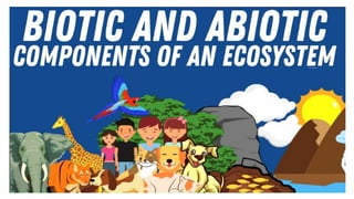 Components of an Ecosystems Grade 7 Learners.pptx