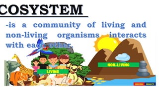 Components of an Ecosystems Grade 7 Learners.pptx