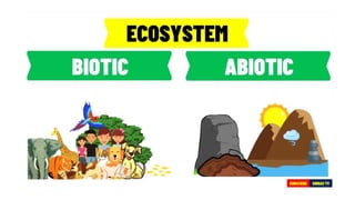 Components of an Ecosystems Grade 7 Learners.pptx
