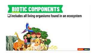 Components of an Ecosystems Grade 7 Learners.pptx